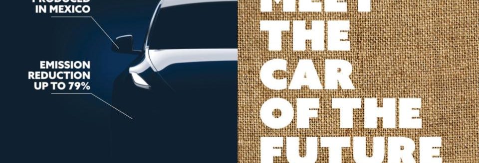 Deplastify the Planet: Designing a plastic-free car